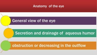 Glaucoma | PPT