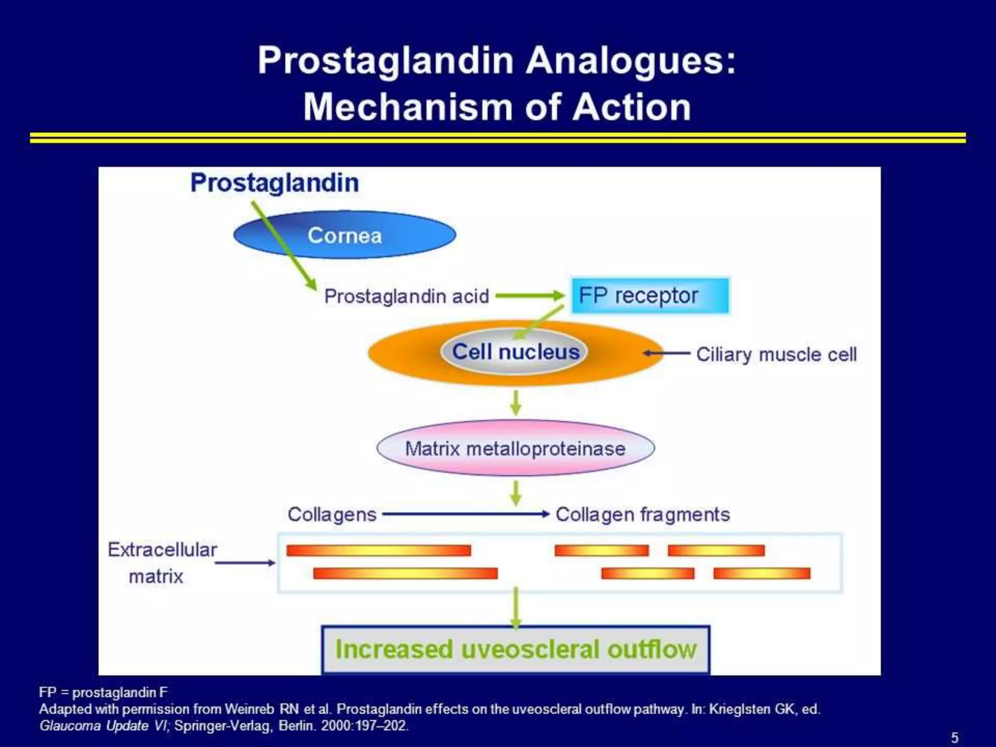 Glaucoma types, Pathogenesis, Diagnosis and Treatment | PPTX