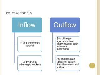 Glaucoma types, Pathogenesis, Diagnosis and Treatment | PPTX