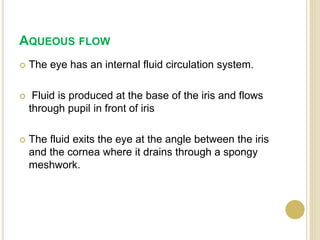 Glaucoma types, Pathogenesis, Diagnosis and Treatment | PPTX