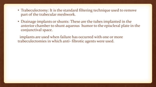 Glaucoma | PDF