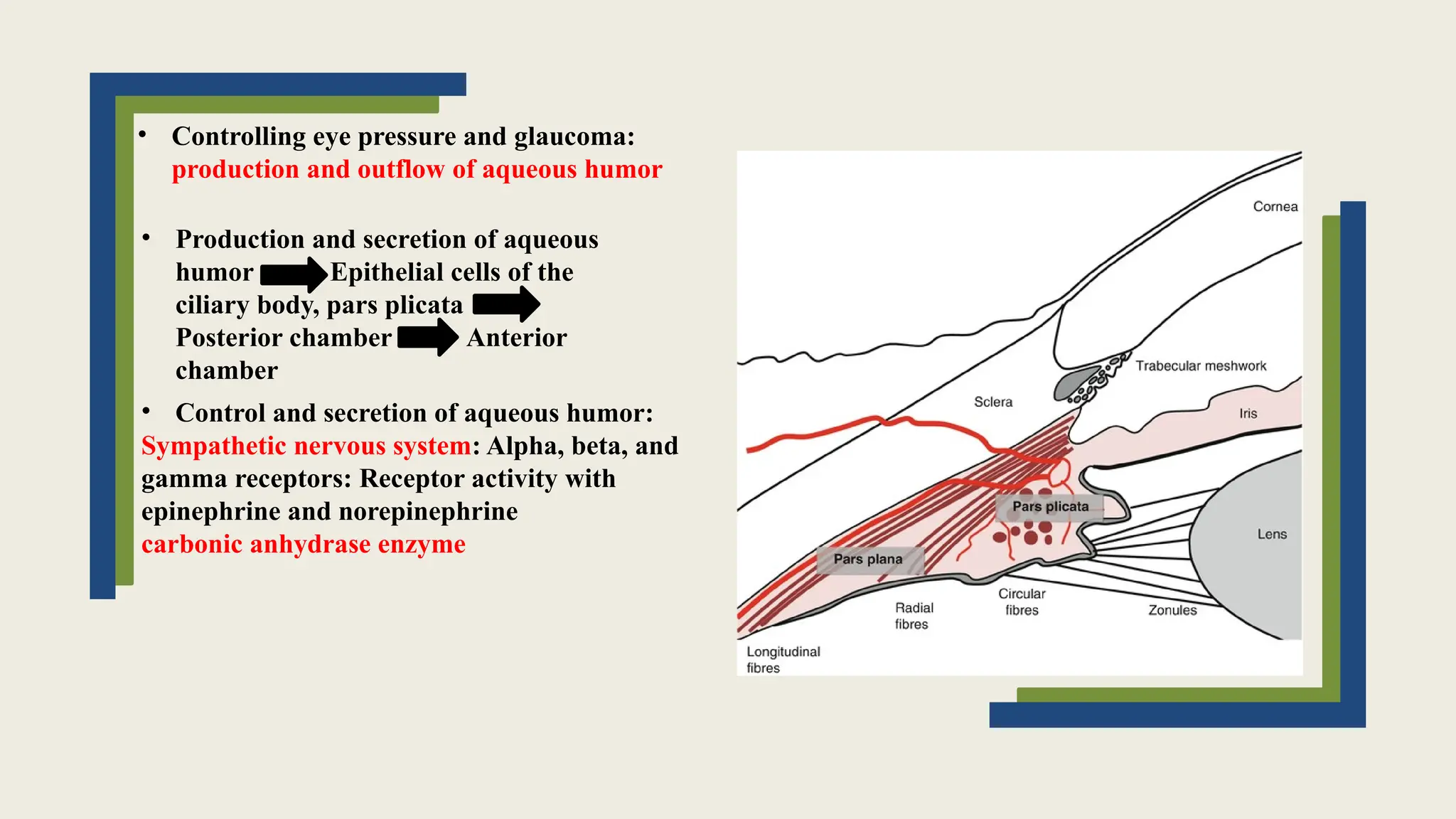 Pathophysiological mechanisms causing Glaucoma.pptx