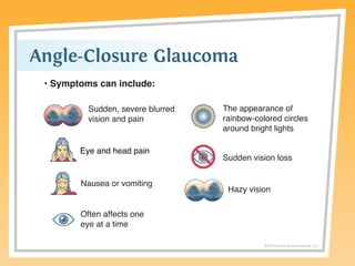Adjusting to Life with Glaucoma | PDF