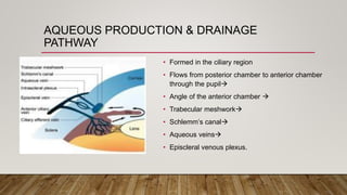 Glaucoma dr.eqbal | PPT