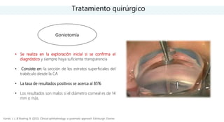 Glaucoma (generalidades y glaucoma de angulo abierto) | PPTX