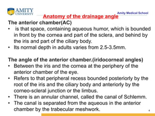 Angle Closure Glaucoma | PPT