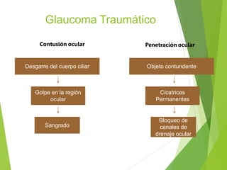 glaucoma (1) (1).pptx