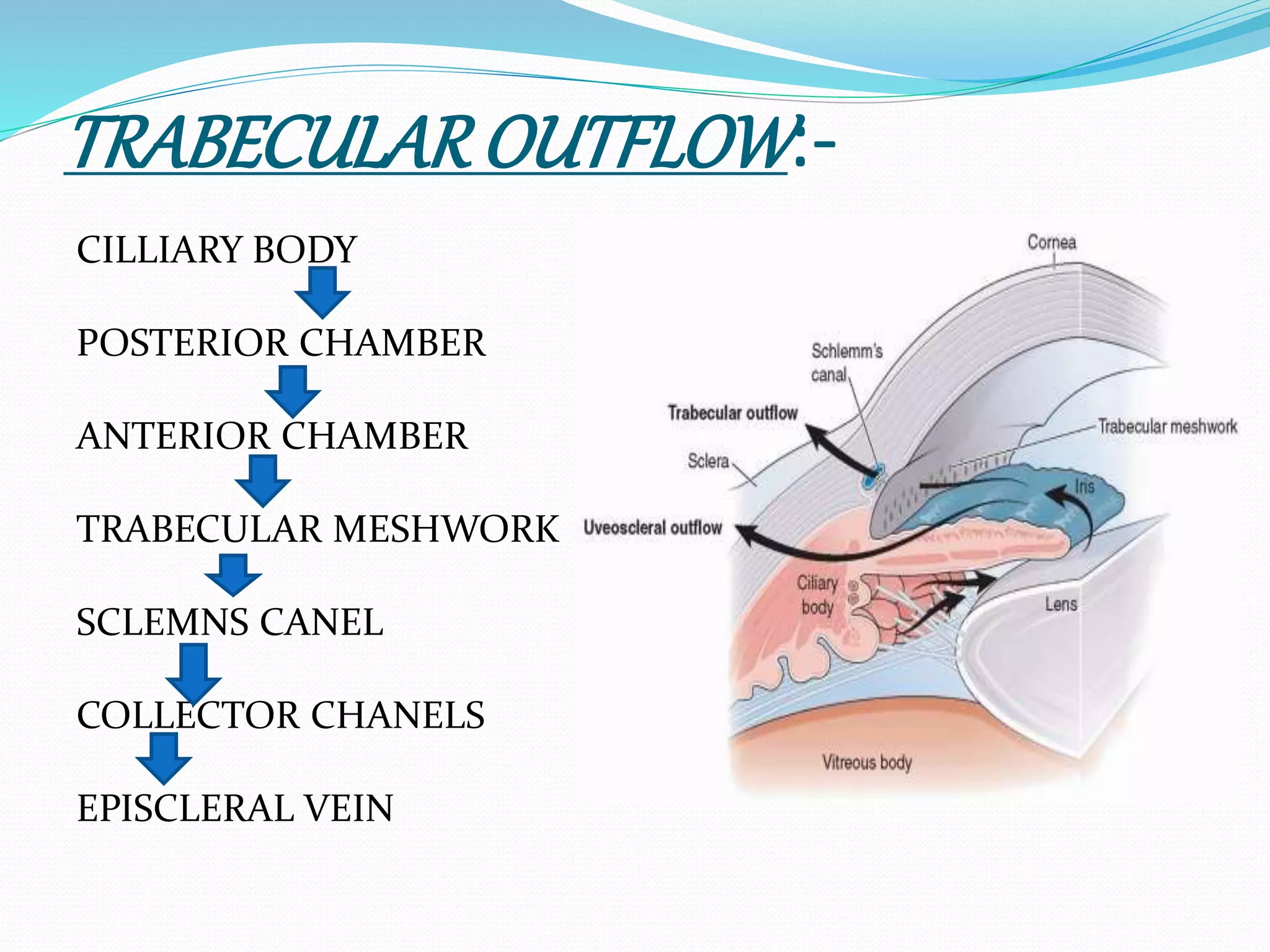 Glaucoma | PPTX