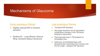 Glaucoma associated with ocular trauma and intraocular haemorrhage ...