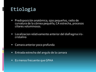 Iris Procesos Gonioscopia ángulo