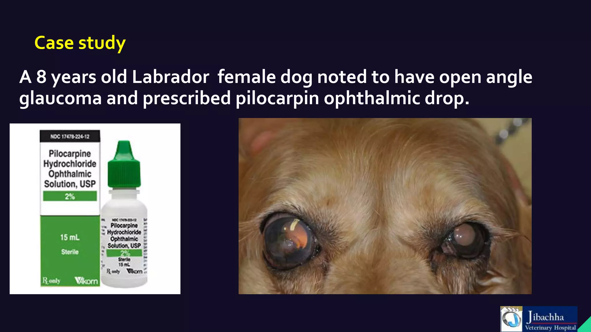 Glaucoma in dog a case study-Dr.Jibachha Sah | PPTX