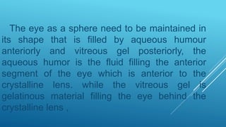 Glaucoma lecture | PPTX