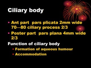 Glaucoma lecture pict by dr abdul basir safi | PPT