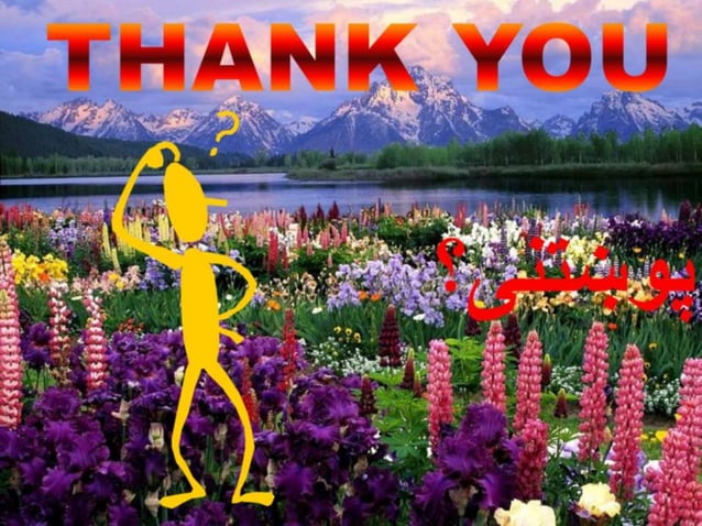 Glaucoma lecture pict by dr abdul basir safi | PPTX