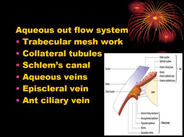 Glaucoma lecture pict by dr abdul basir safi | PPTX