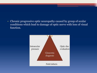 Glaucoma optic disc changes | PPTX