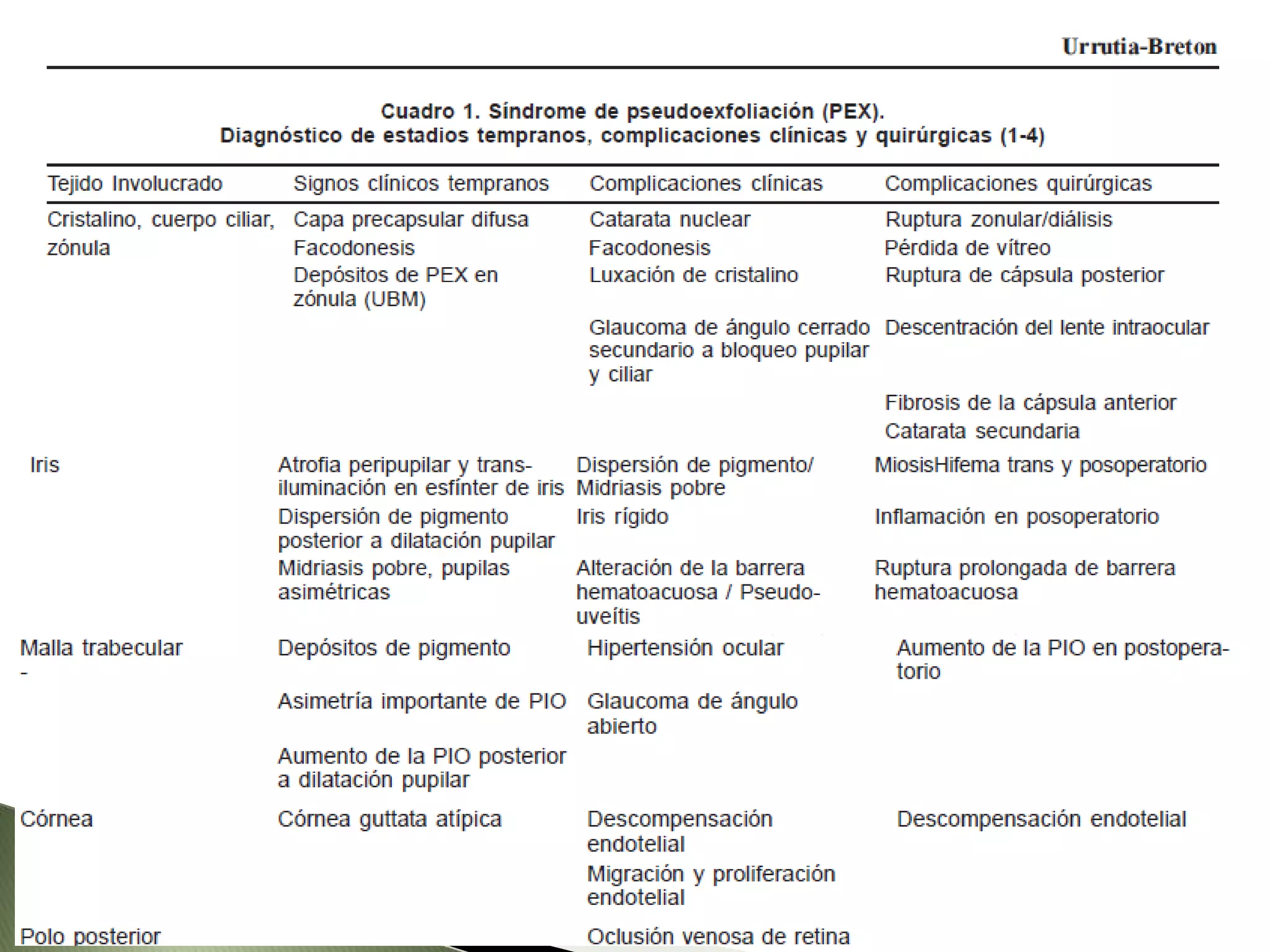 Glaucoma por pseudoexfoliación y neovascular | PPTX