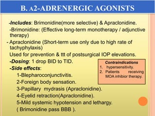 GLAUCOMA PPT | PPSX | Eye and Vision Conditions | Diseases and Conditions