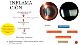 Glaucoma traumático | PPTX