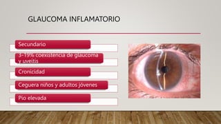 Glaucoma traumático, inflamatorio y asociado a esteroides jean (1).pptx