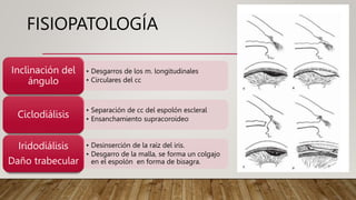 Glaucoma traumático, inflamatorio y asociado a esteroides jean (1).pptx