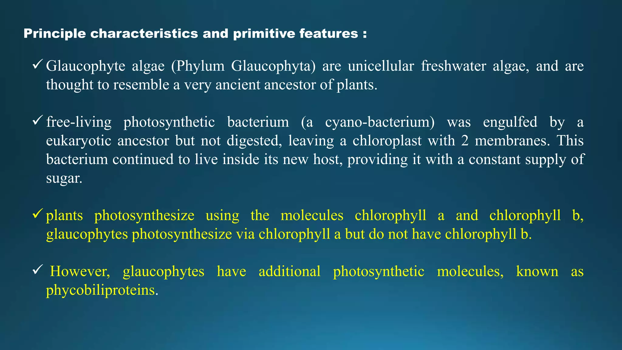 Glaucophyta a brief overview, Phycology, Principle characteristics ...