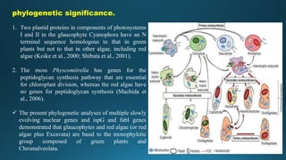 Glaucophyta a brief overview, Phycology, Principle characteristics ...