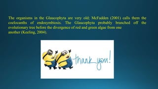 Glaucophyta a brief overview, Phycology, Principle characteristics ...