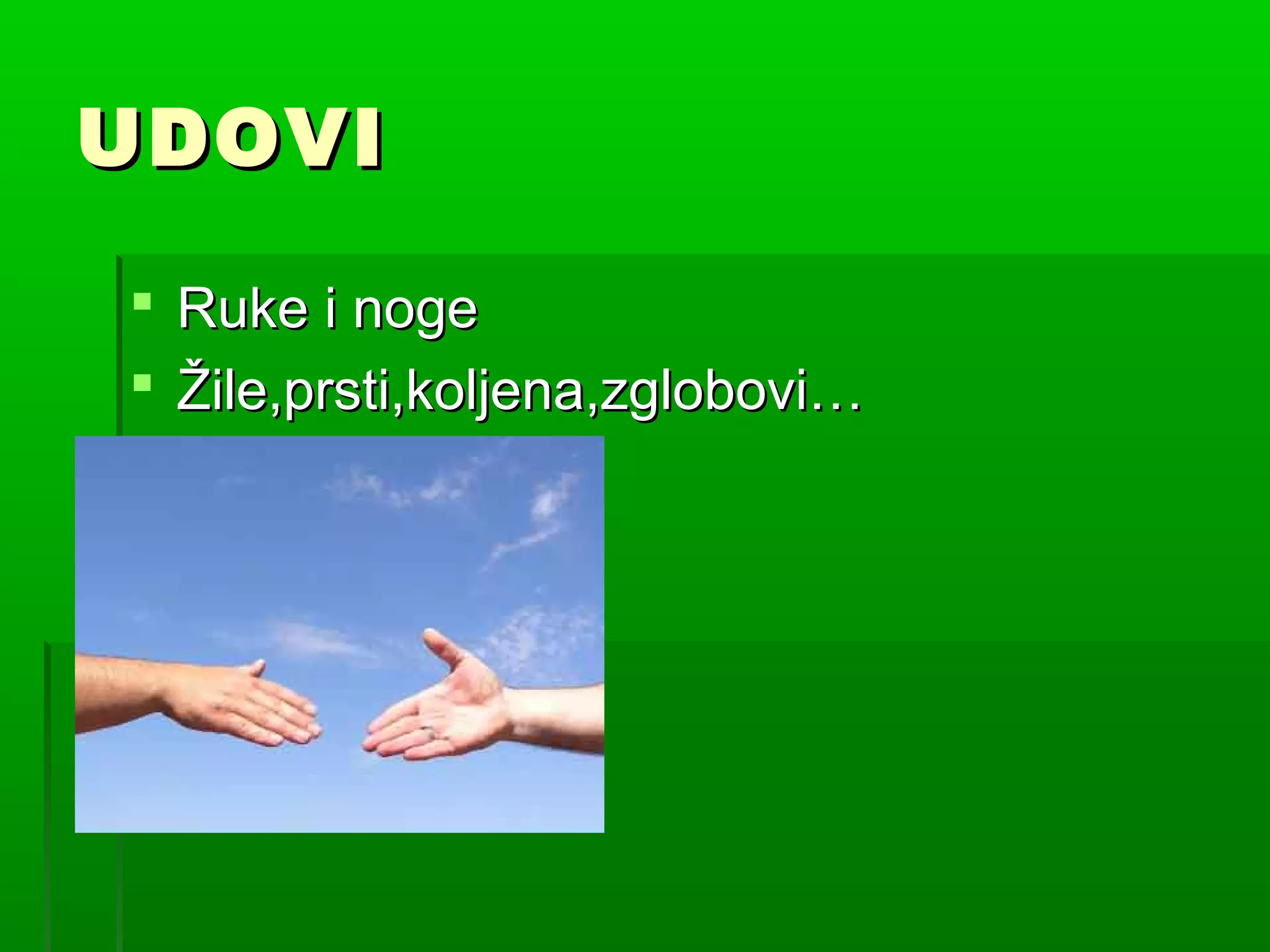 Glavni organi ljudskog tijela | PPT