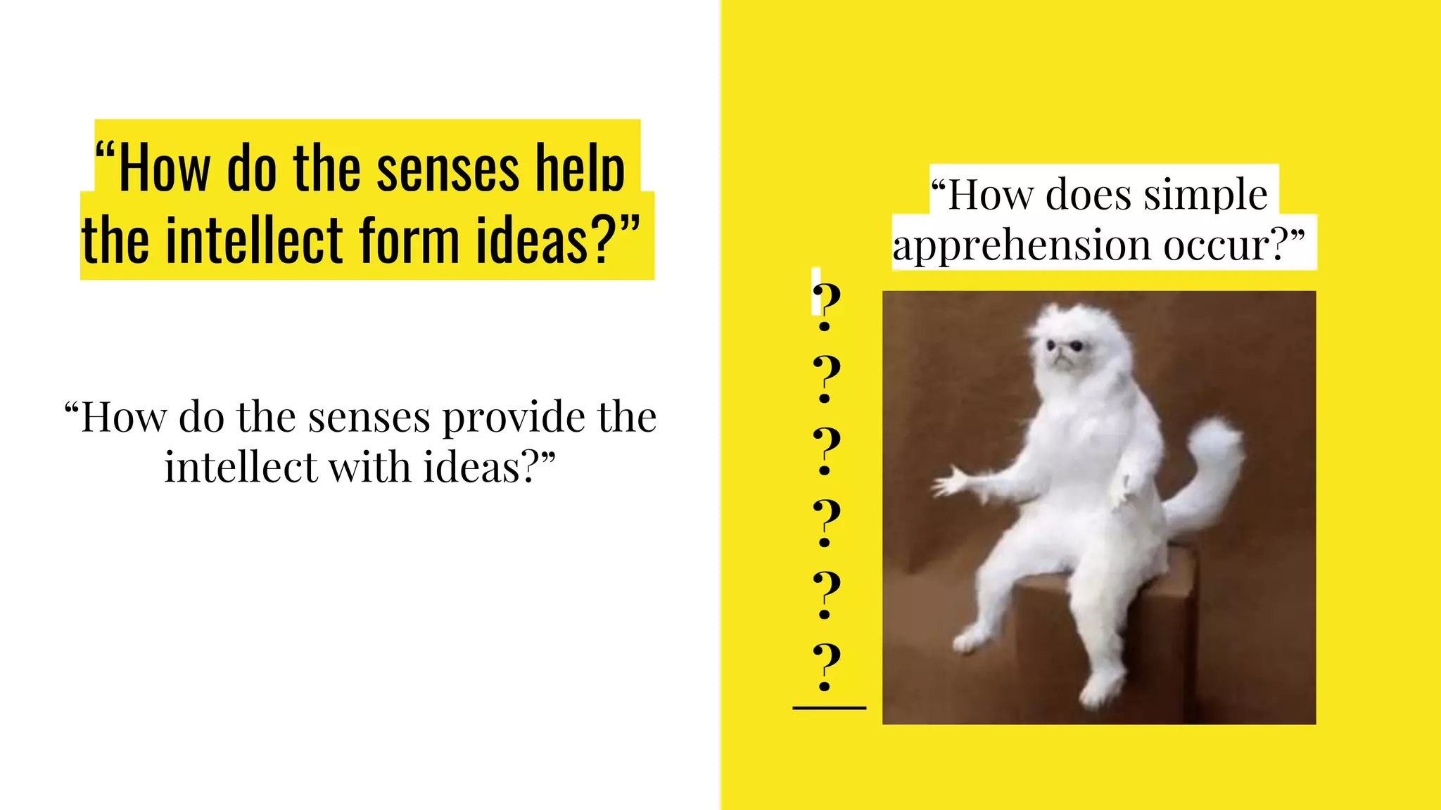 Terms and Ideas | PPTX