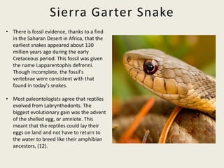 Glen alpine to grass lake | PPT