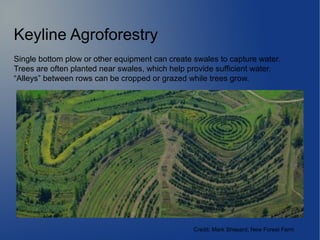 Glenn Gall, "Farm Scale Permaculture Water Harvesting" | PPT