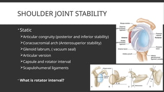 Glenohumeral Joint ligament and stabilizer | PPTX