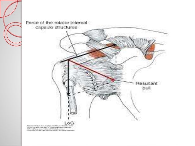 Glenohumeral joint-ppt.