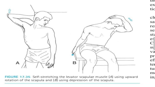 Glenohumeral Joint Hypomobility Management.pptx