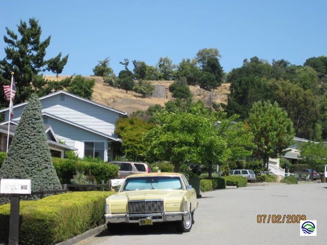 Glenwood Forest Tank Replacement Project | PPT