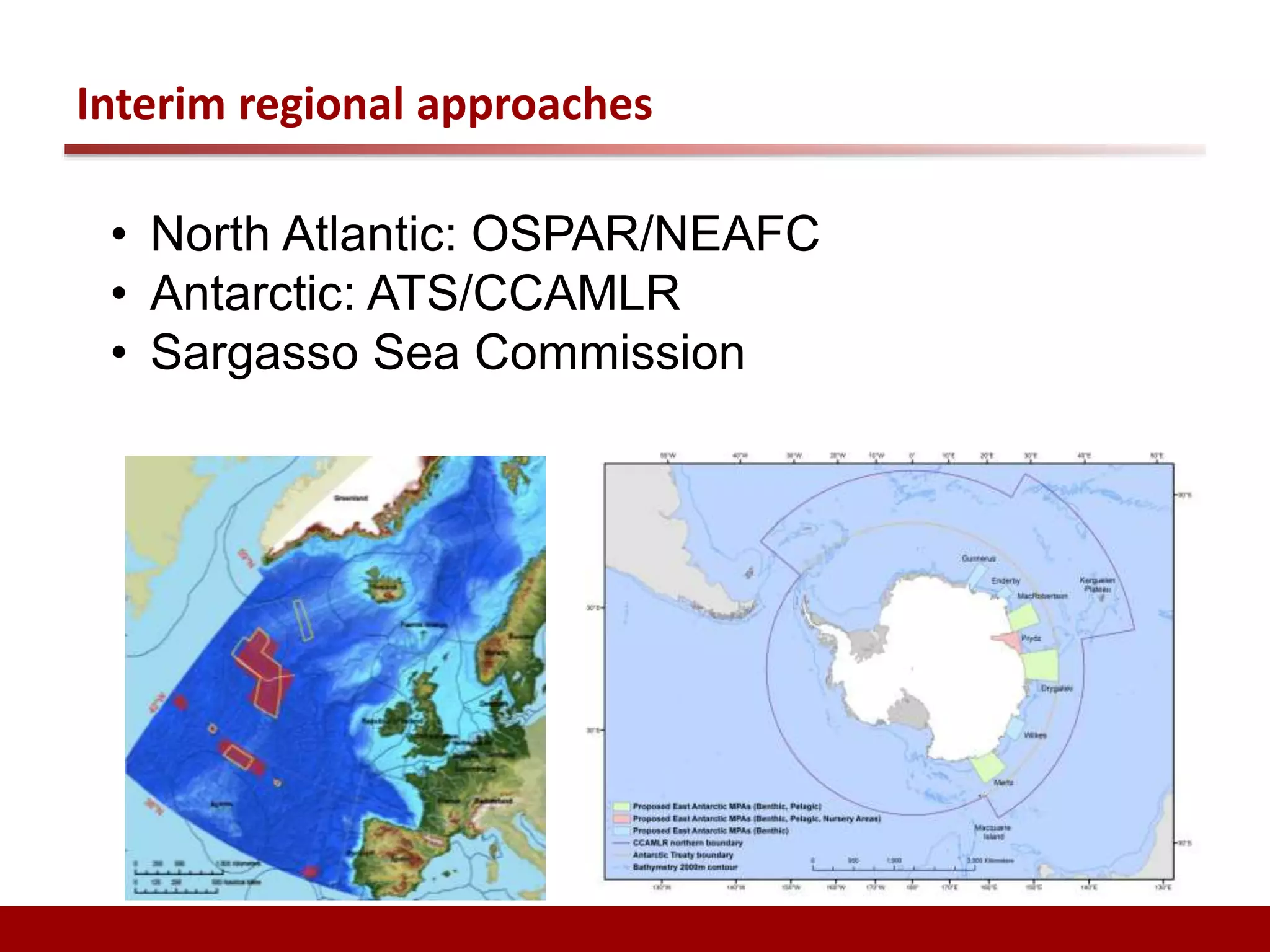 Towards a new international instrument on the conservation and ...