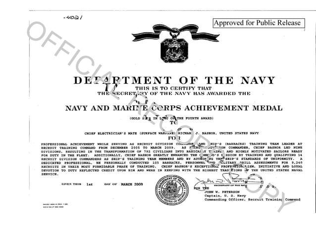 Navy and Marine Corps Achievement Medal | PPT