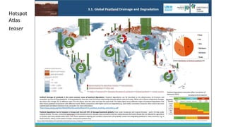 Global Peatlands Map and Hotspot Explanation Atlas | PPTX