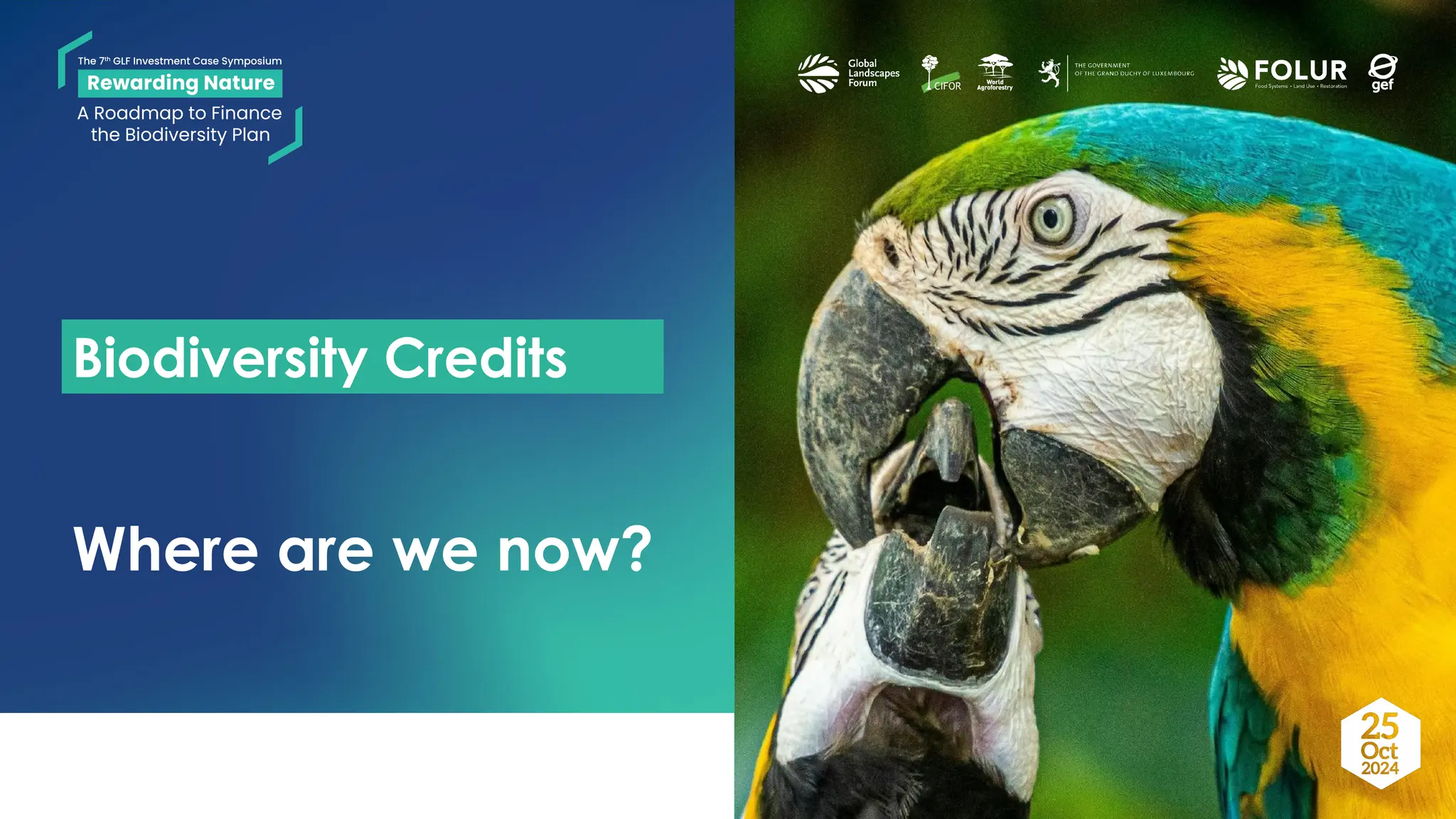 Biodiversity Credits – Where are we now? | PDF