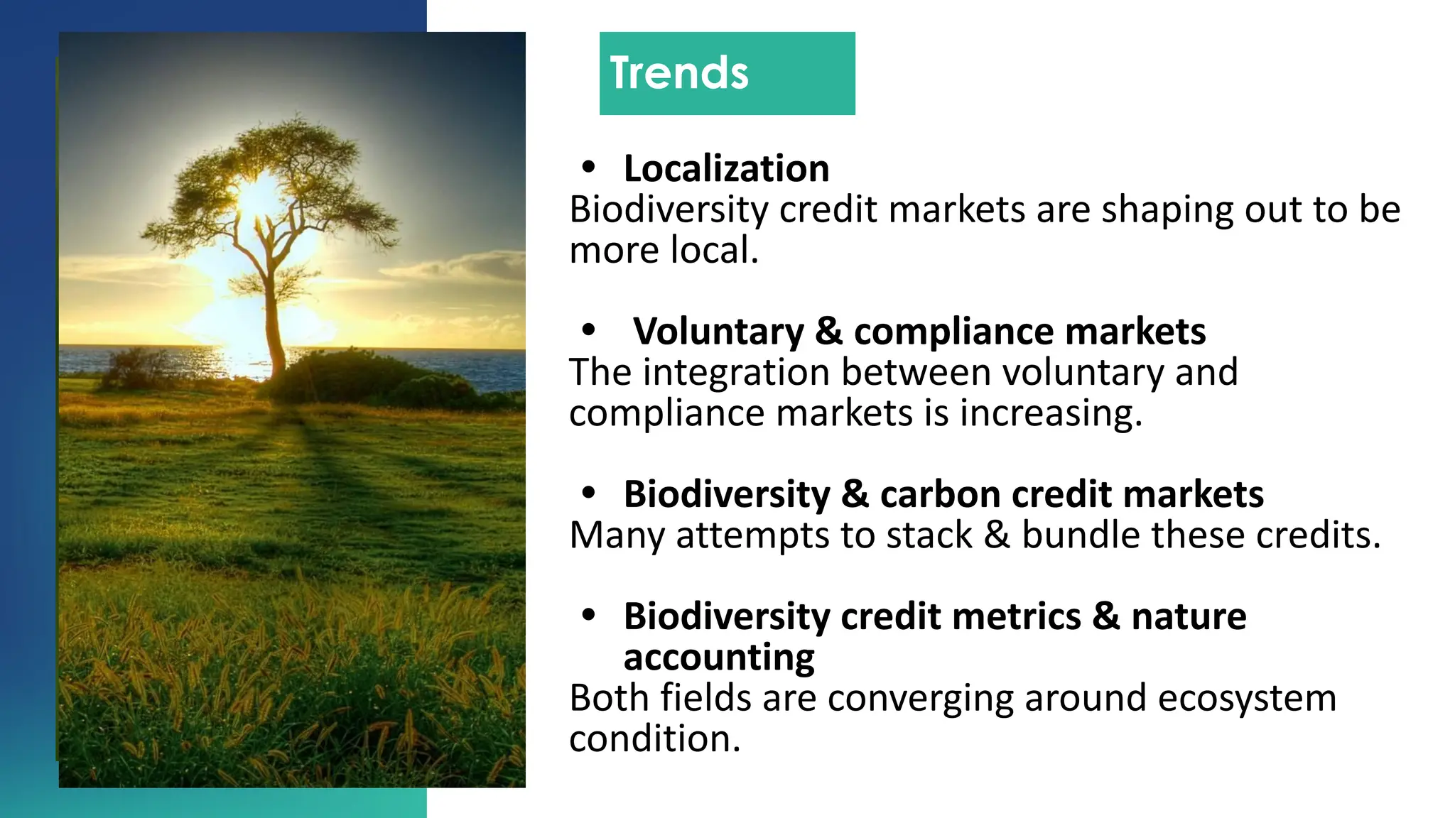 Biodiversity Credits – Where are we now? | PDF