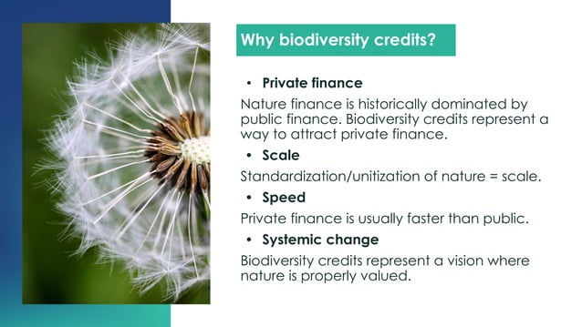 Biodiversity Credits – Where are we now? | PPT
