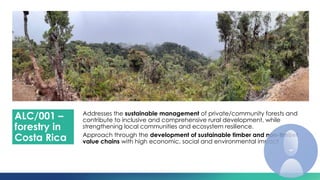 Promoting private and community forestry: Pathways to sustainable value chains and social ...