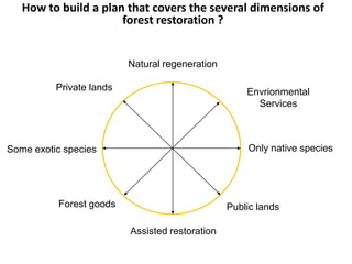 Forest restoration: national plan, MMA actions lines and a zoom in ...