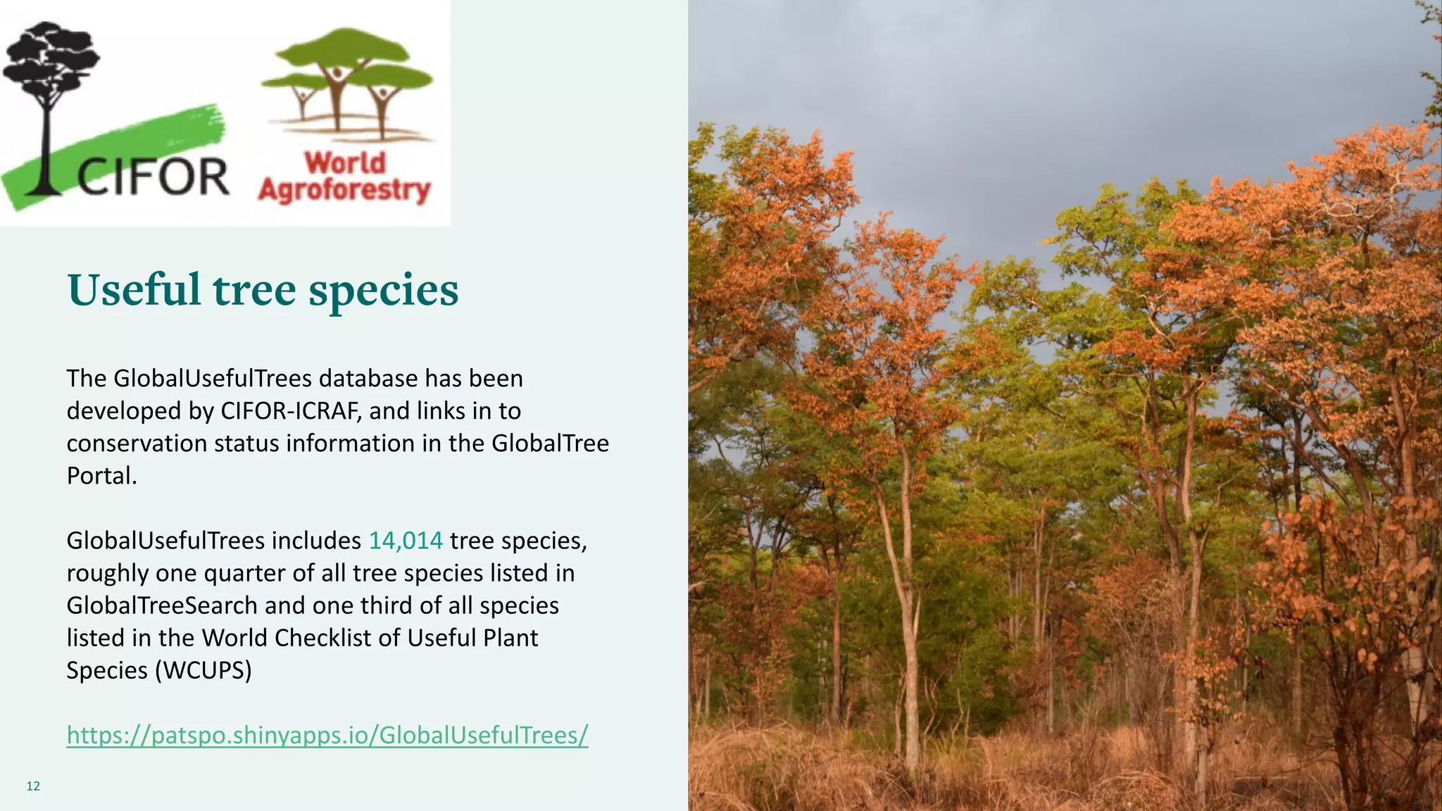 Tree diversity overview | PDF