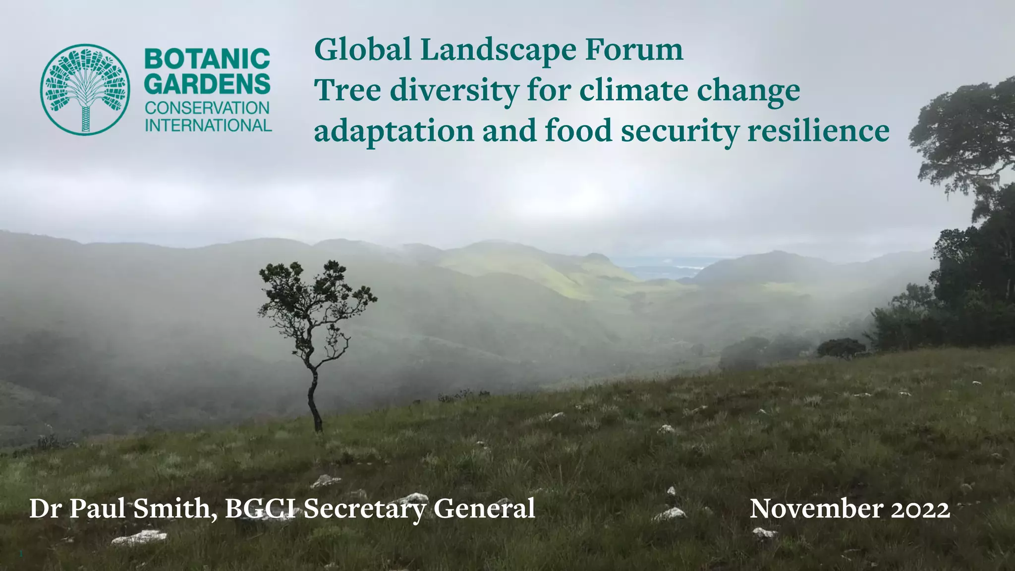 Tree diversity overview | PPT