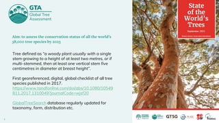 Tree diversity overview | PDF