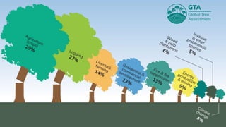 Tree diversity overview | PDF