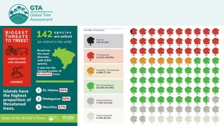 Tree diversity overview | PDF