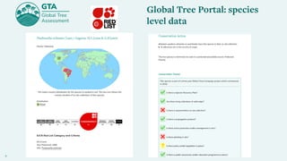 Tree diversity overview | PDF